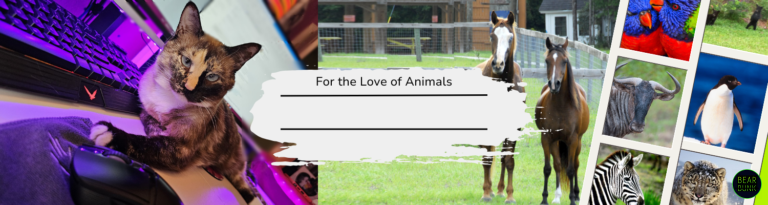 Smart Animals – Clever Wildlife That Will Surprise You | BearBunk