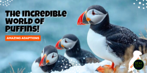 The Incredible World of Puffins: Fun Facts & Amazing Adaptations