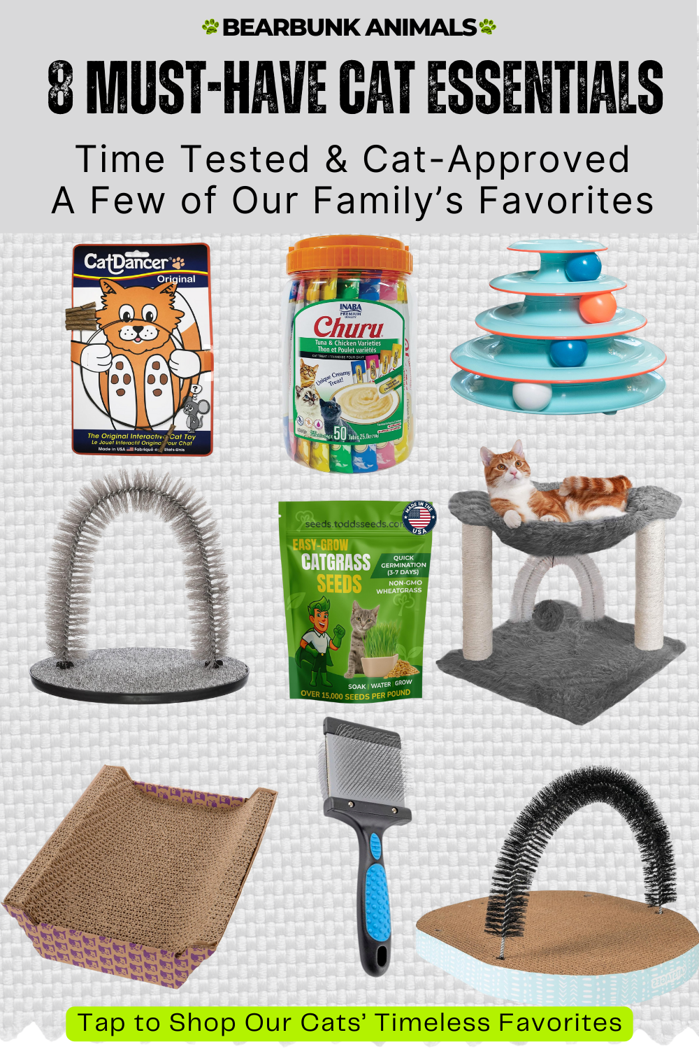 Cat Comfort & Care: Our Family’s Favorite Cat Essentials